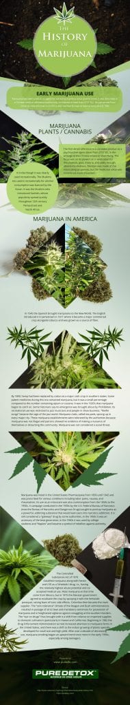The History of Marijuana Infographic