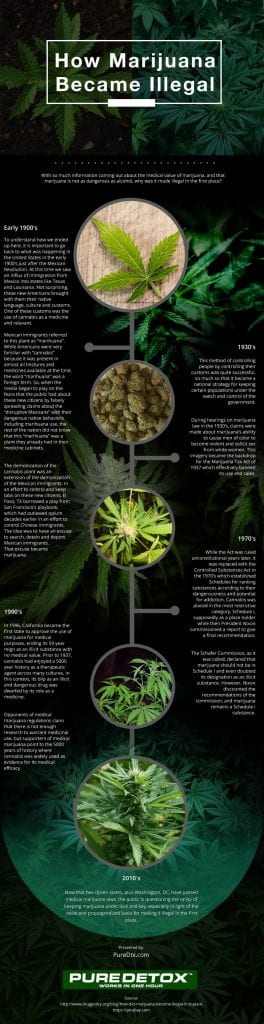 How Marijuana Became Illegal Infographic