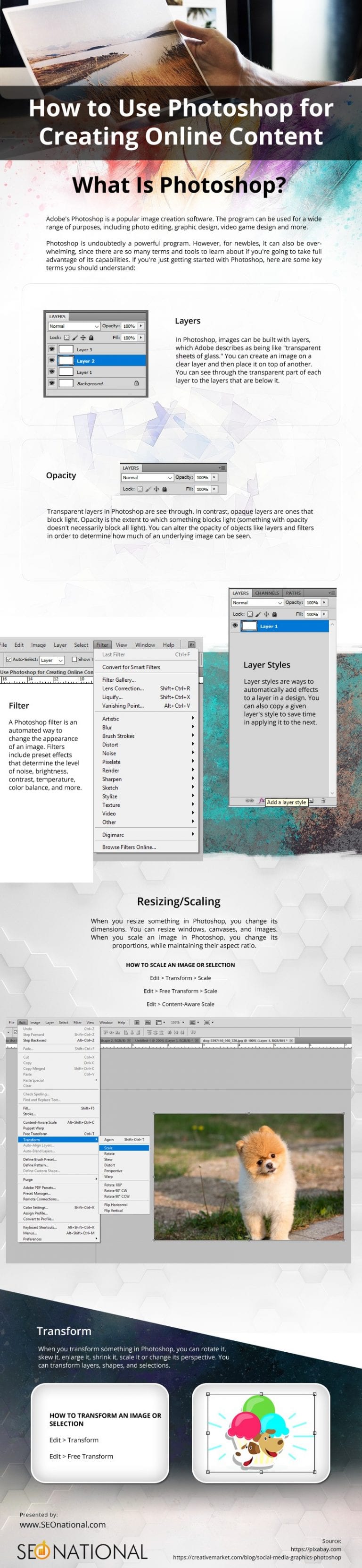 How to Use Photoshop for Creating Online Content Infographic