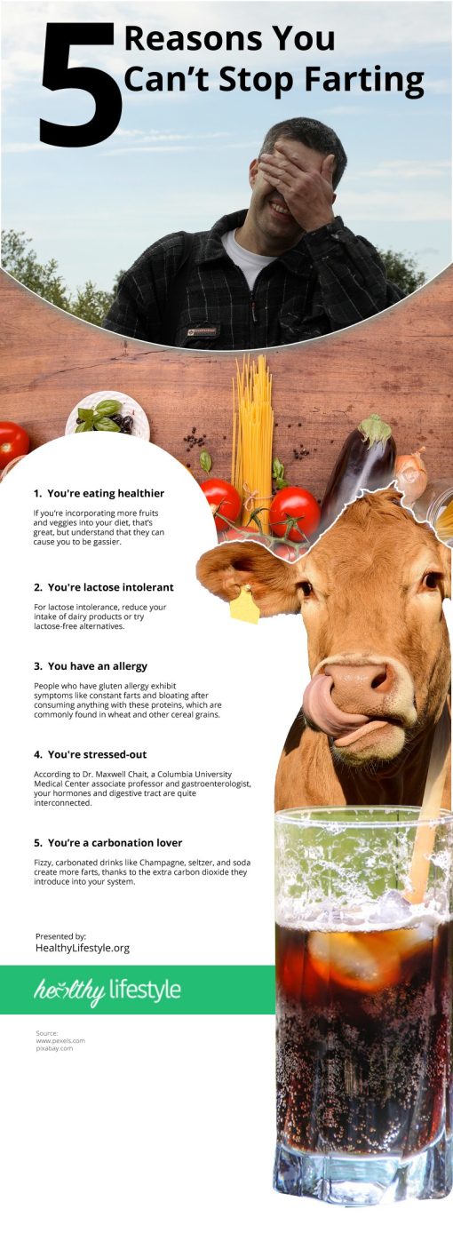 5 Reasons You Can't Stop Farting Infographic