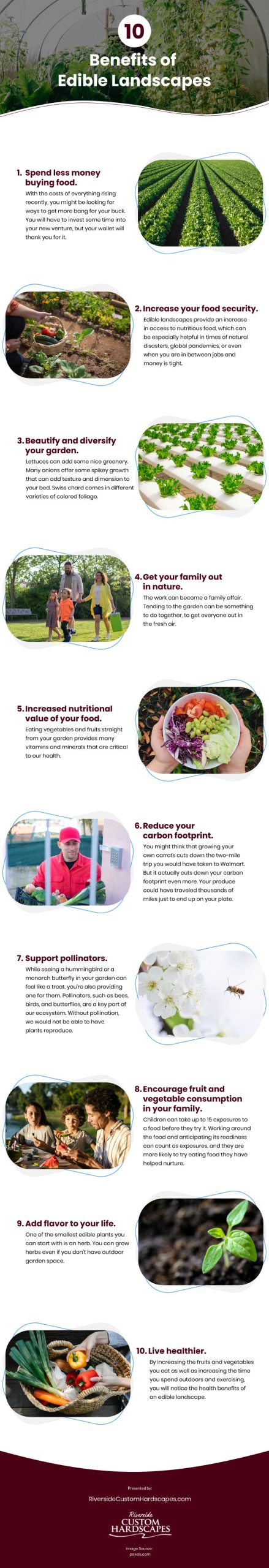 10 Benefits of Edible Landscapes Infographic
