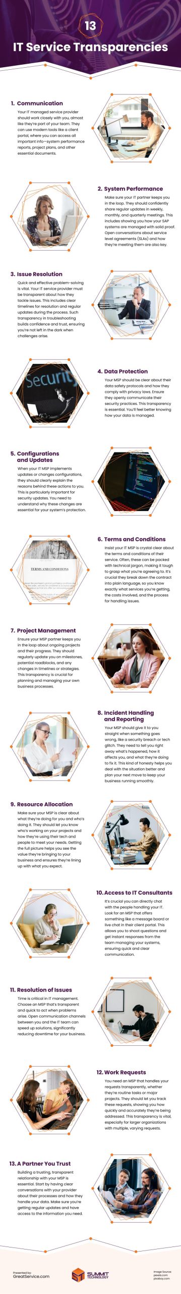 13 IT Service Transparencies Infographic