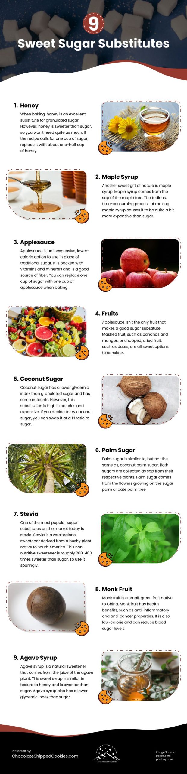 9 Sweet Sugar Substitutes Infographic