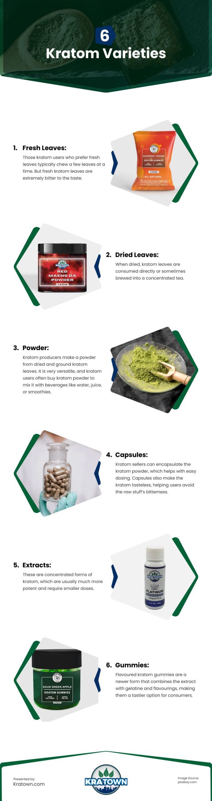 6 Kratom Varieties Infographic