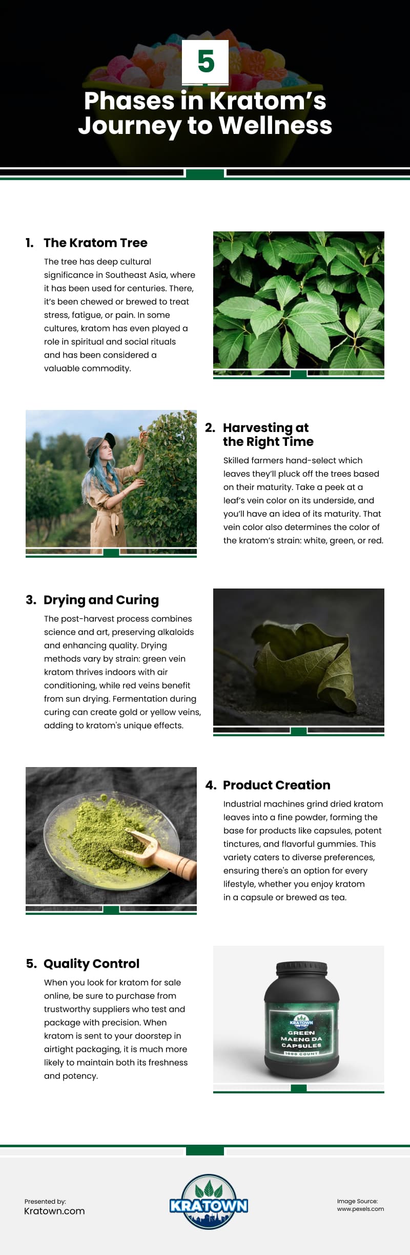 5 Phases in Kratom’s Journey to Wellness Infographic